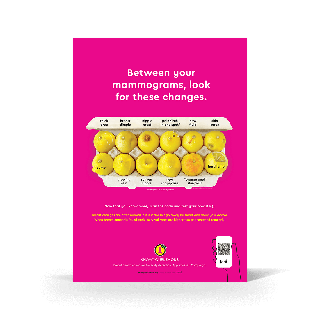 Mammogram 12 Signs of Breast Cancer Poster (multiple languages)