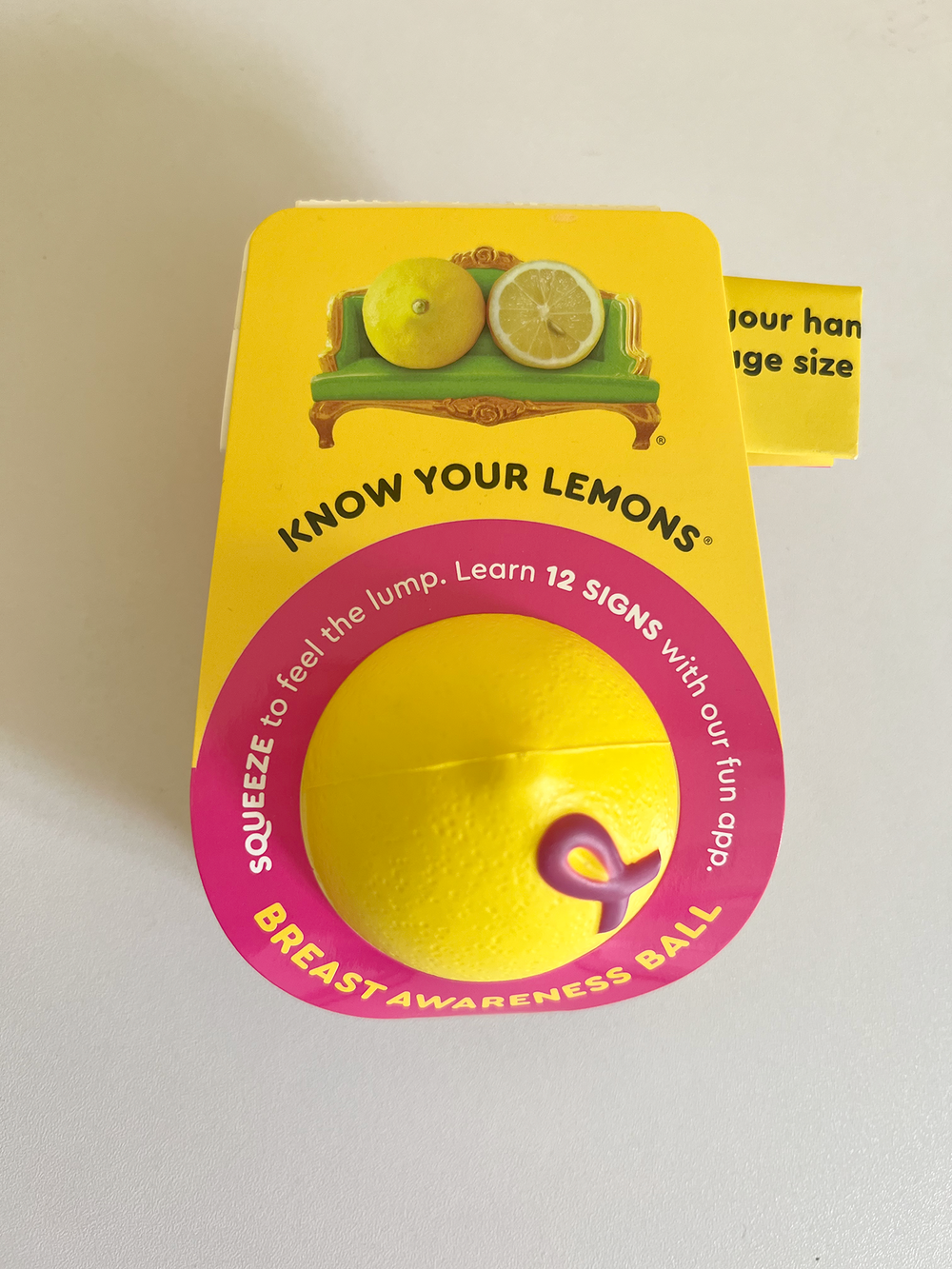 Pair of Lemon Breast Self-Exam Kits (USA ONLY, Teaching Models with Lu